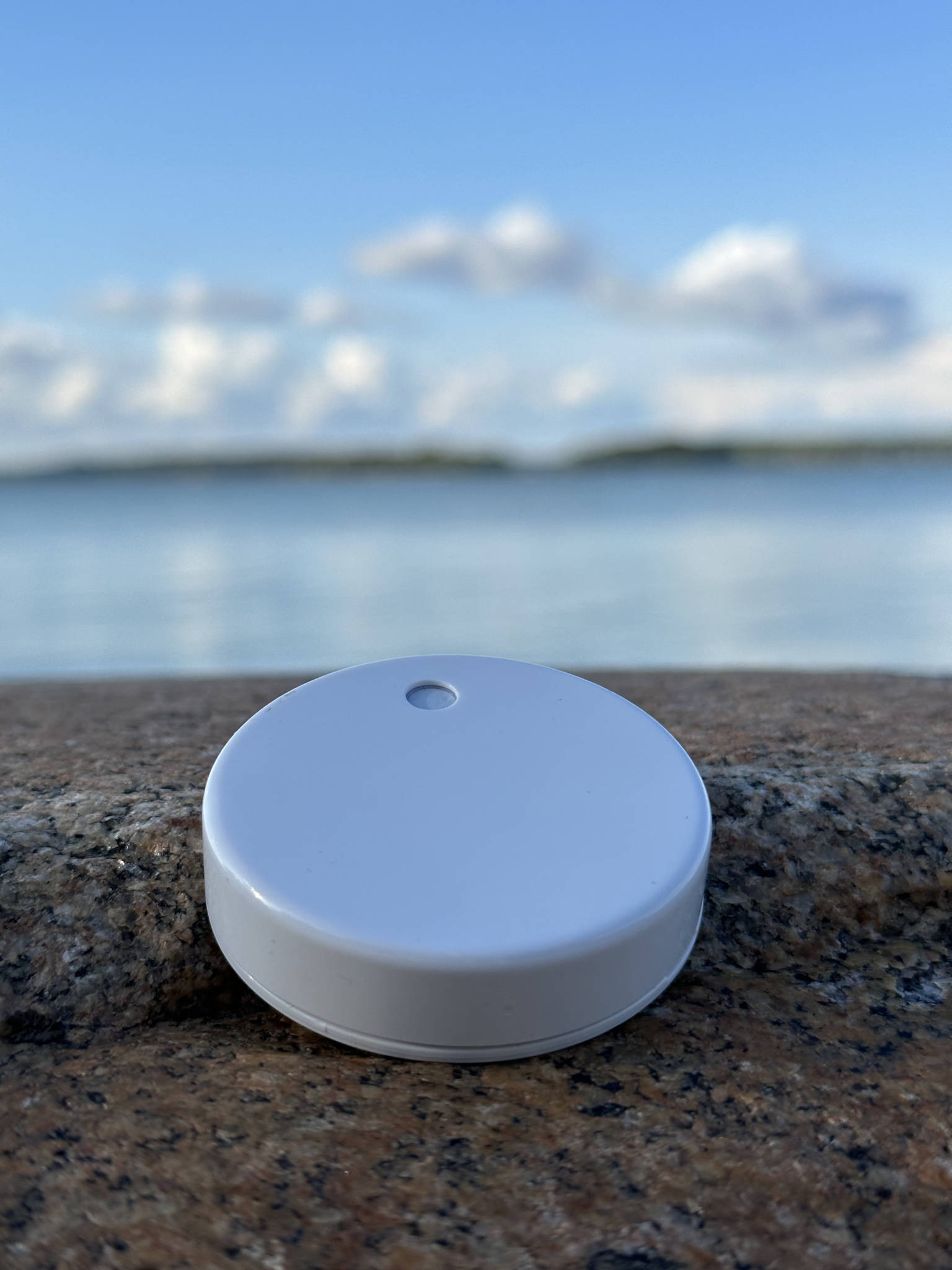 Wireless Temperature and Humidity Sensor to Beehive - Ruuvi